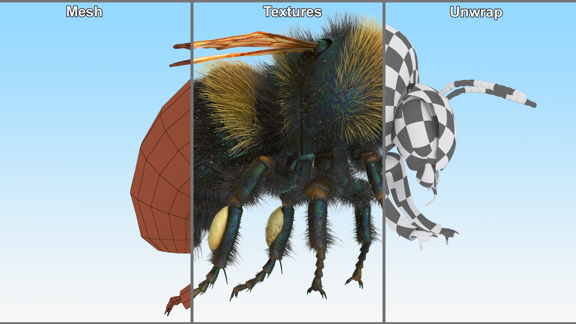 Realistic Bumblebee Insect Fur Rigged 3D - TurboSquid 2290416