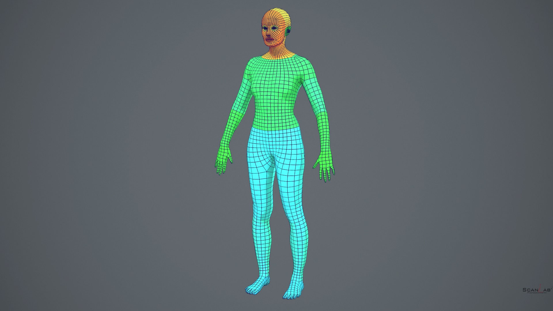 base mesh 3d model