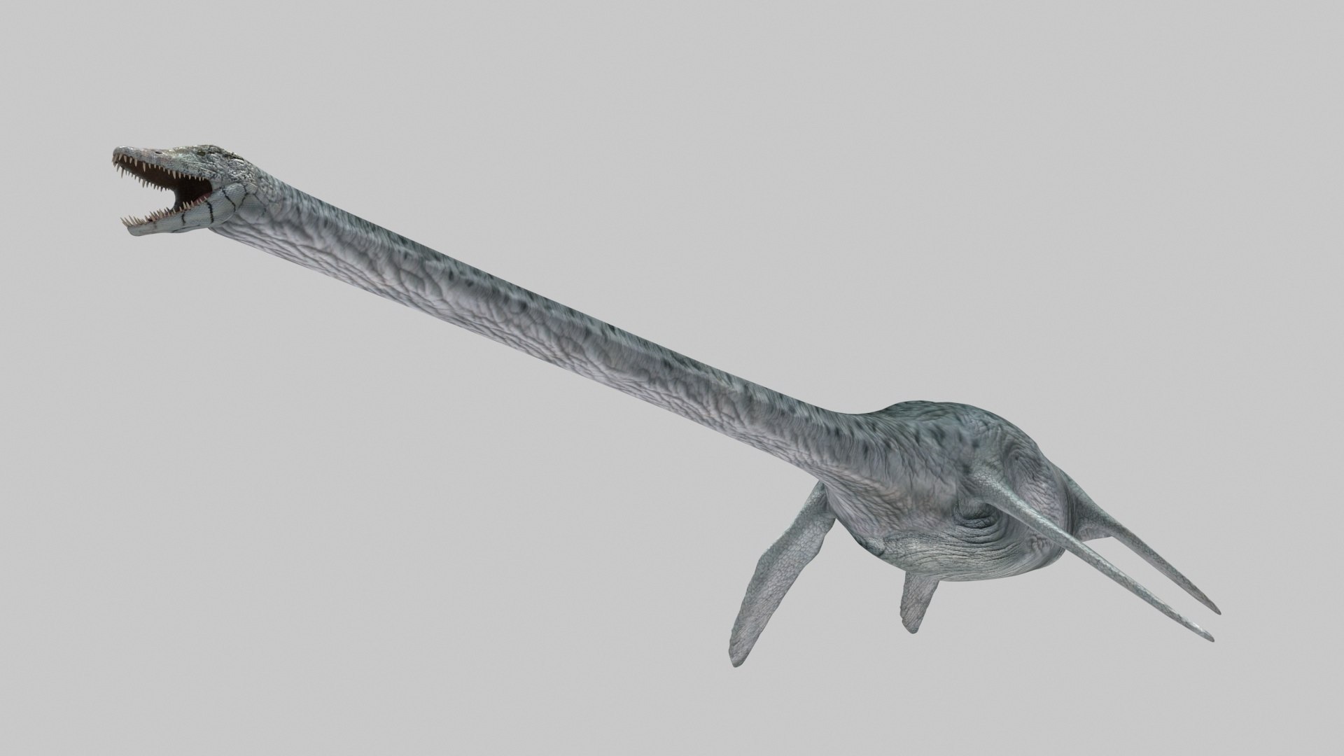 Real Plesiosaur Elasmosaur - 8K 3D Model - TurboSquid 2228682