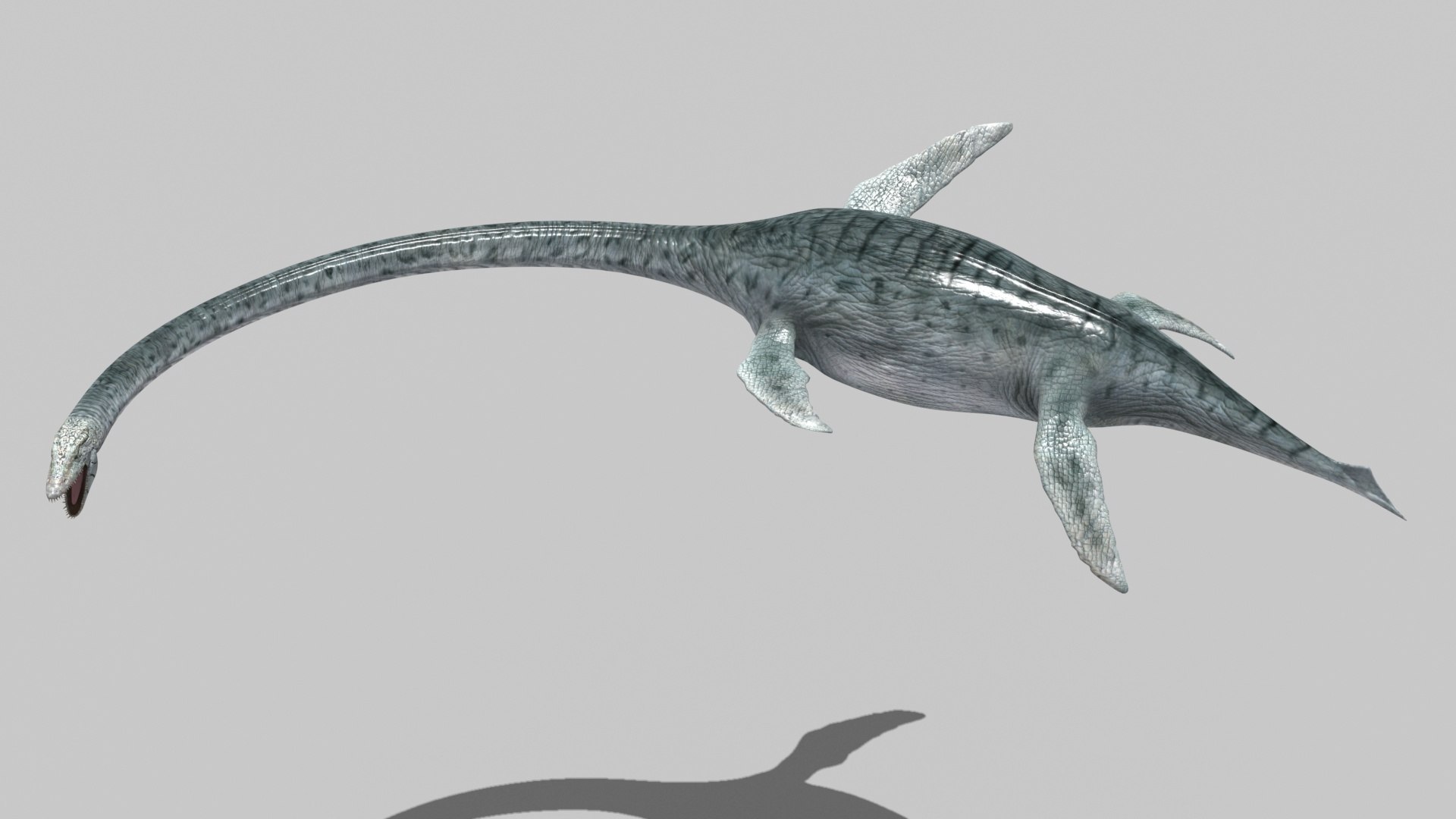 Real Plesiosaur Elasmosaur - 8K 3D Model - TurboSquid 2228682