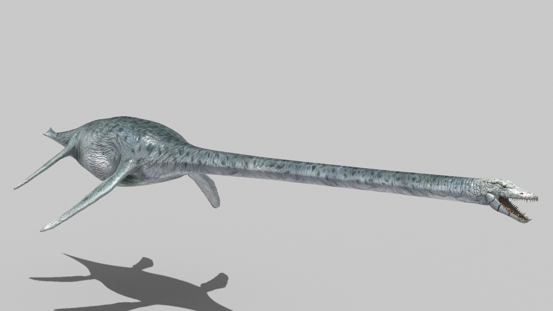Real Plesiosaur Elasmosaur - 8K 3D Model - TurboSquid 2228682