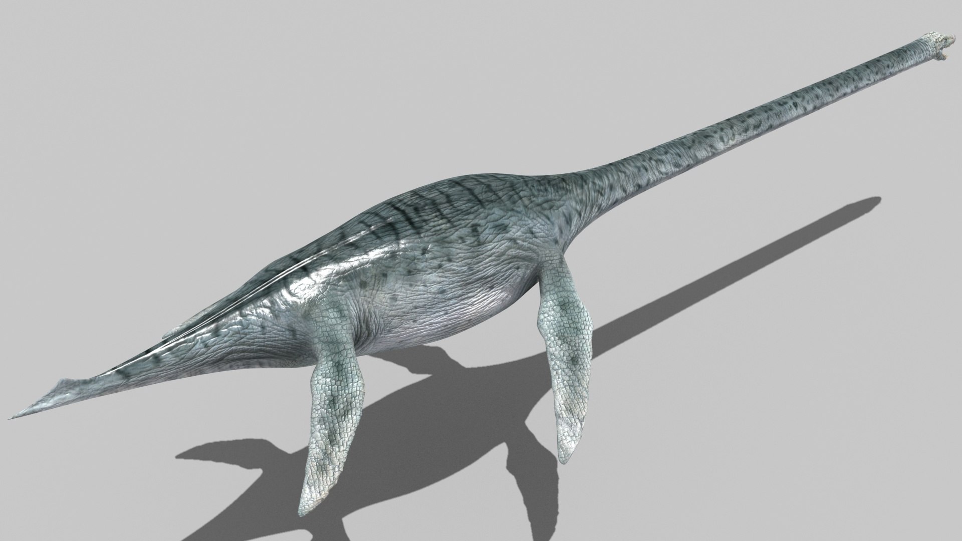 Real Plesiosaur Elasmosaur - 8K 3D Model - TurboSquid 2228682