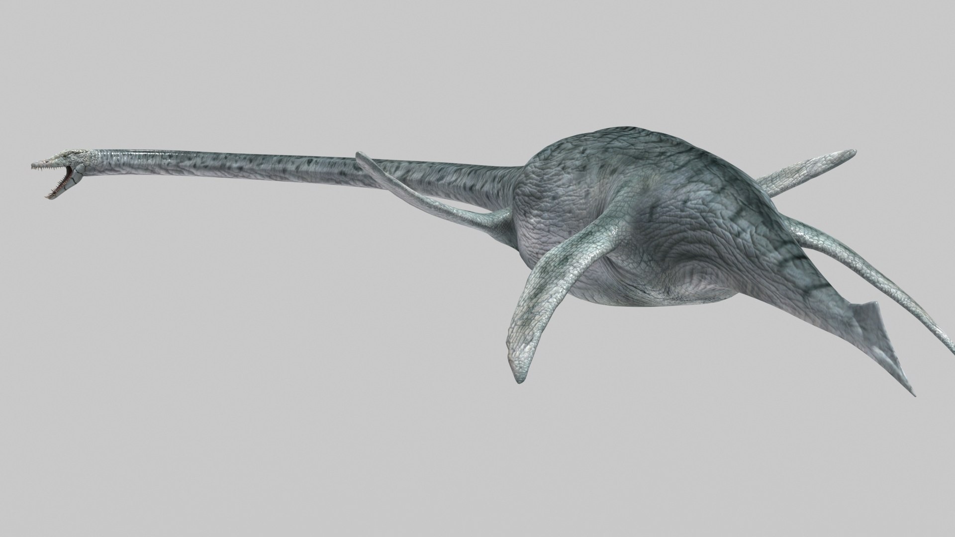 Real Plesiosaur Elasmosaur - 8K 3D Model - TurboSquid 2228682