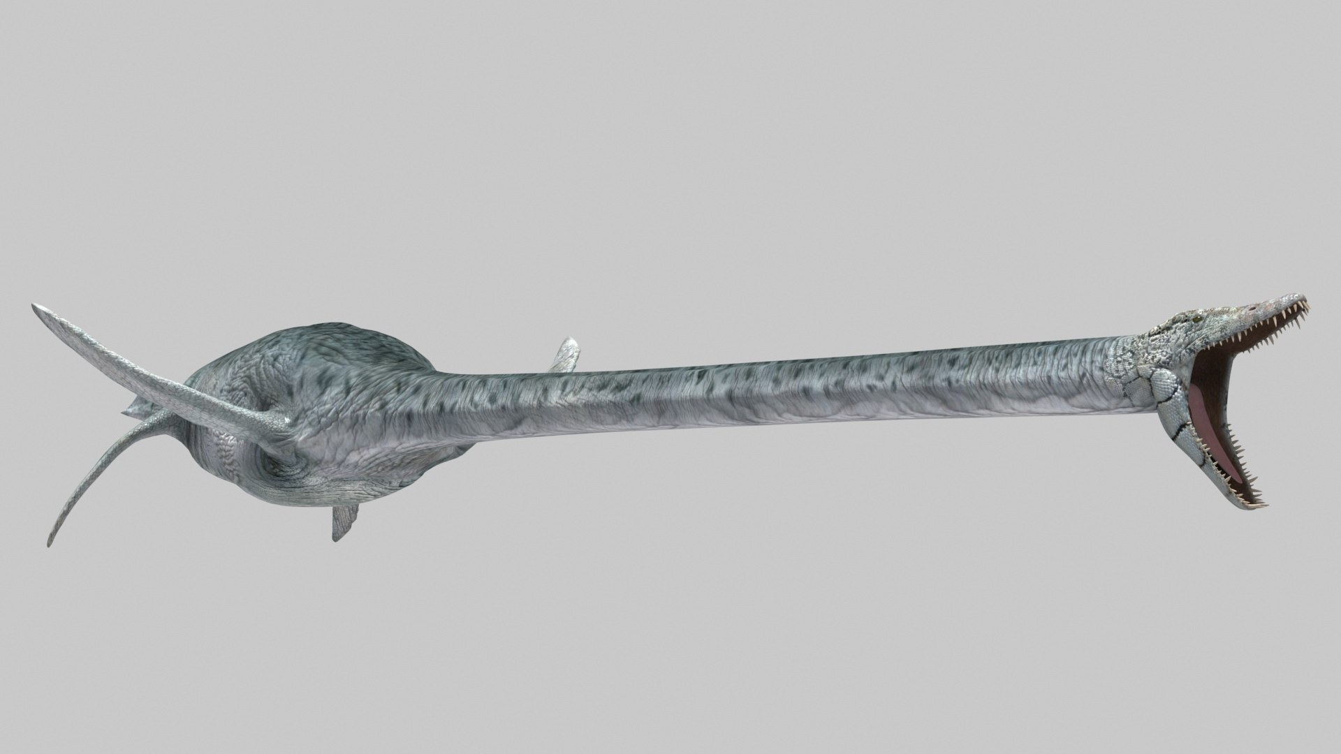 Real Plesiosaur Elasmosaur - 8K 3D Model - TurboSquid 2228682