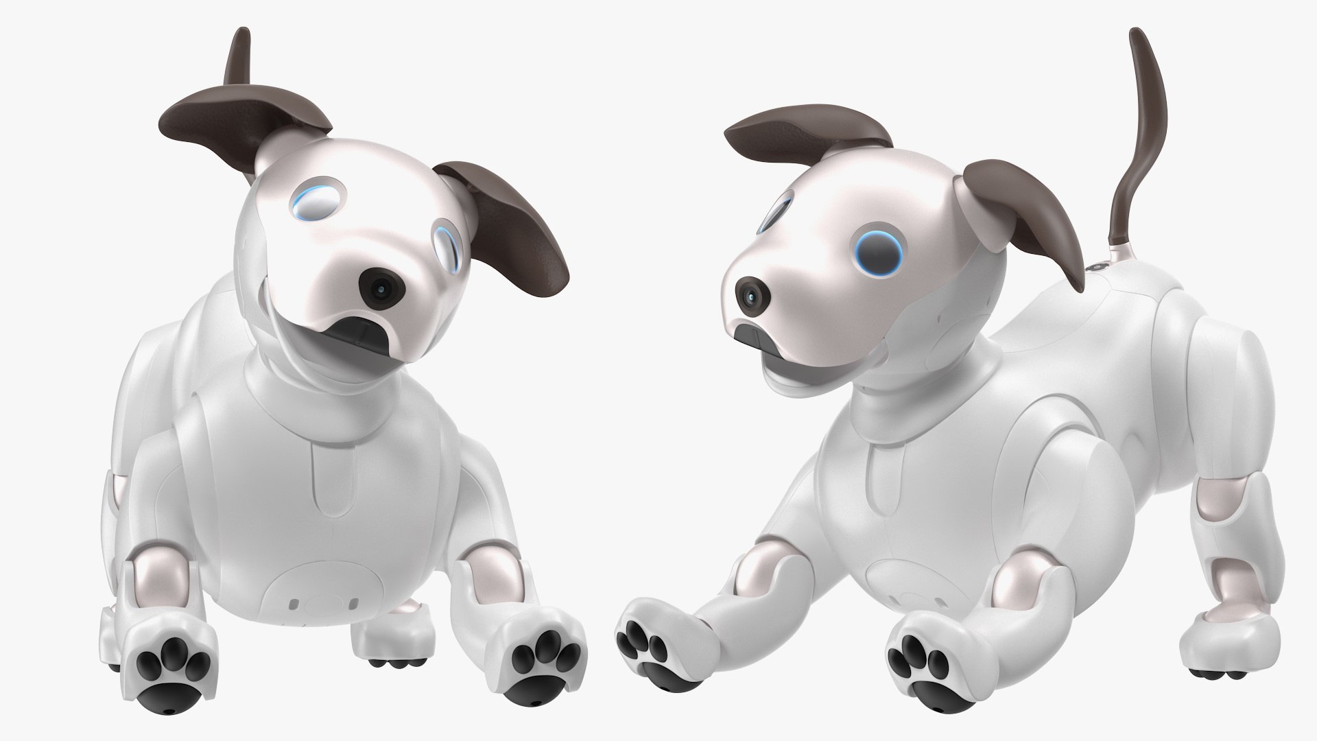 3D Sony Aibo 2017 Playing - TurboSquid 1505903