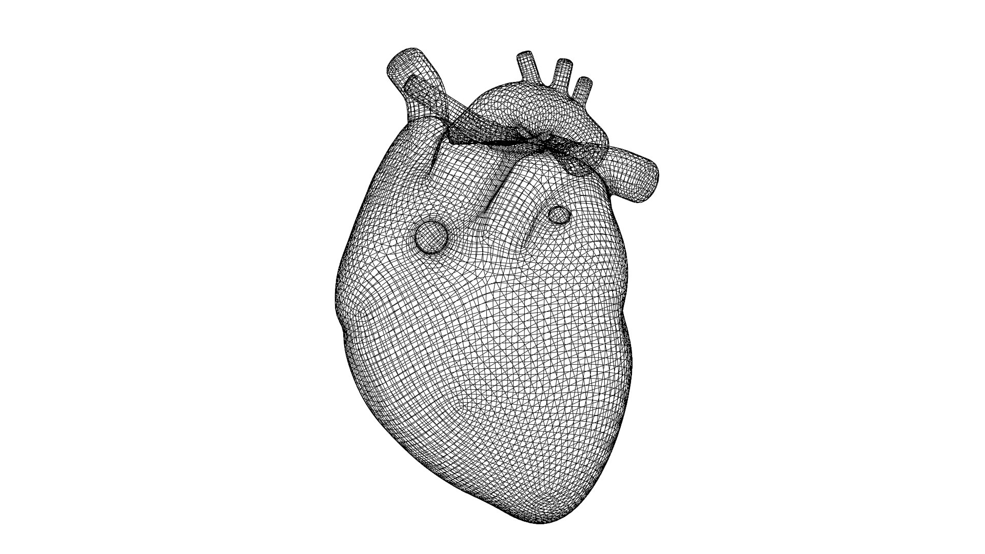 Human Heart Realistic Anatomy 3D - TurboSquid 2053205