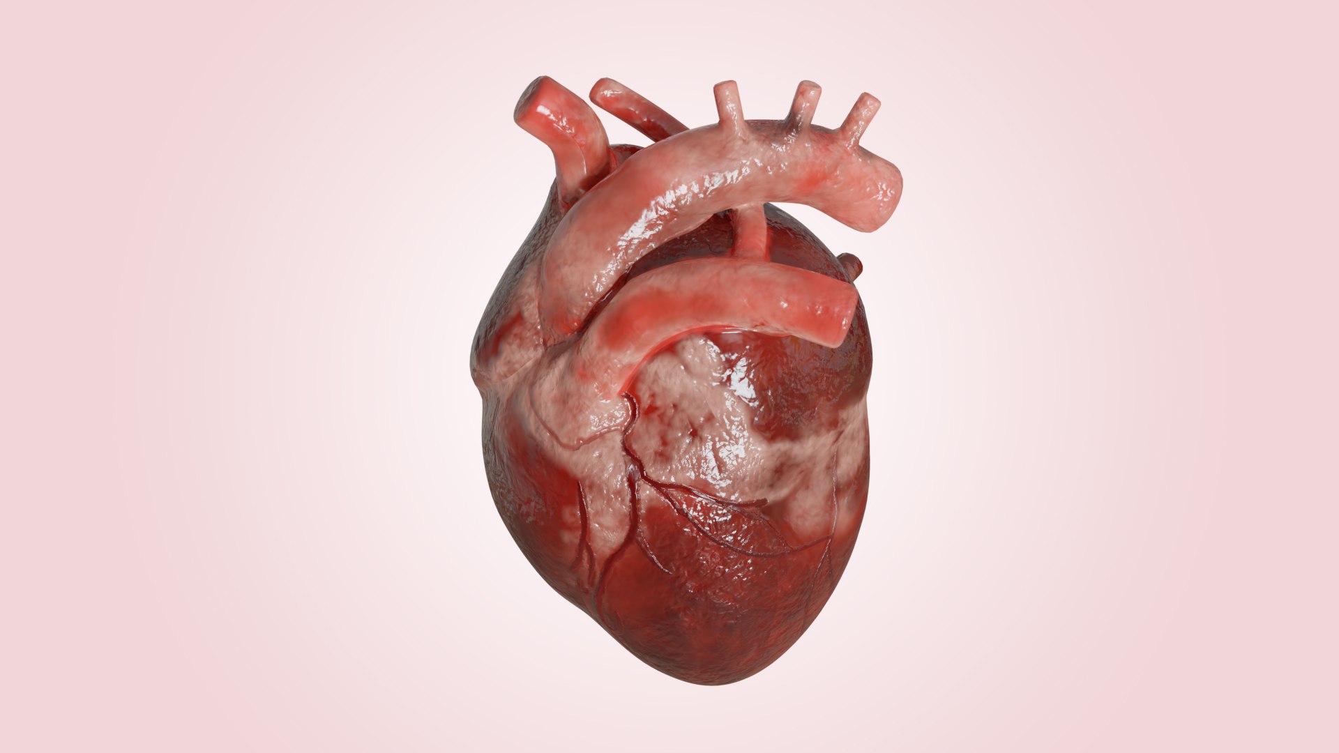 Human Heart Realistic Anatomy 3D - TurboSquid 2053205