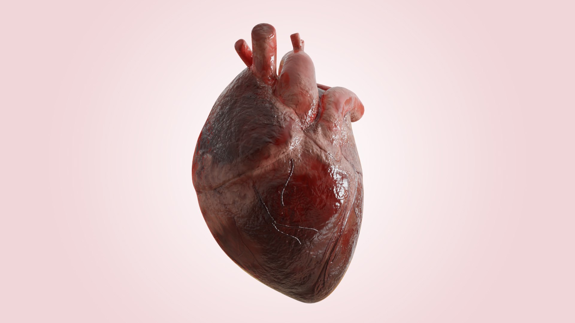 Human Heart Realistic Anatomy 3D - TurboSquid 2053205