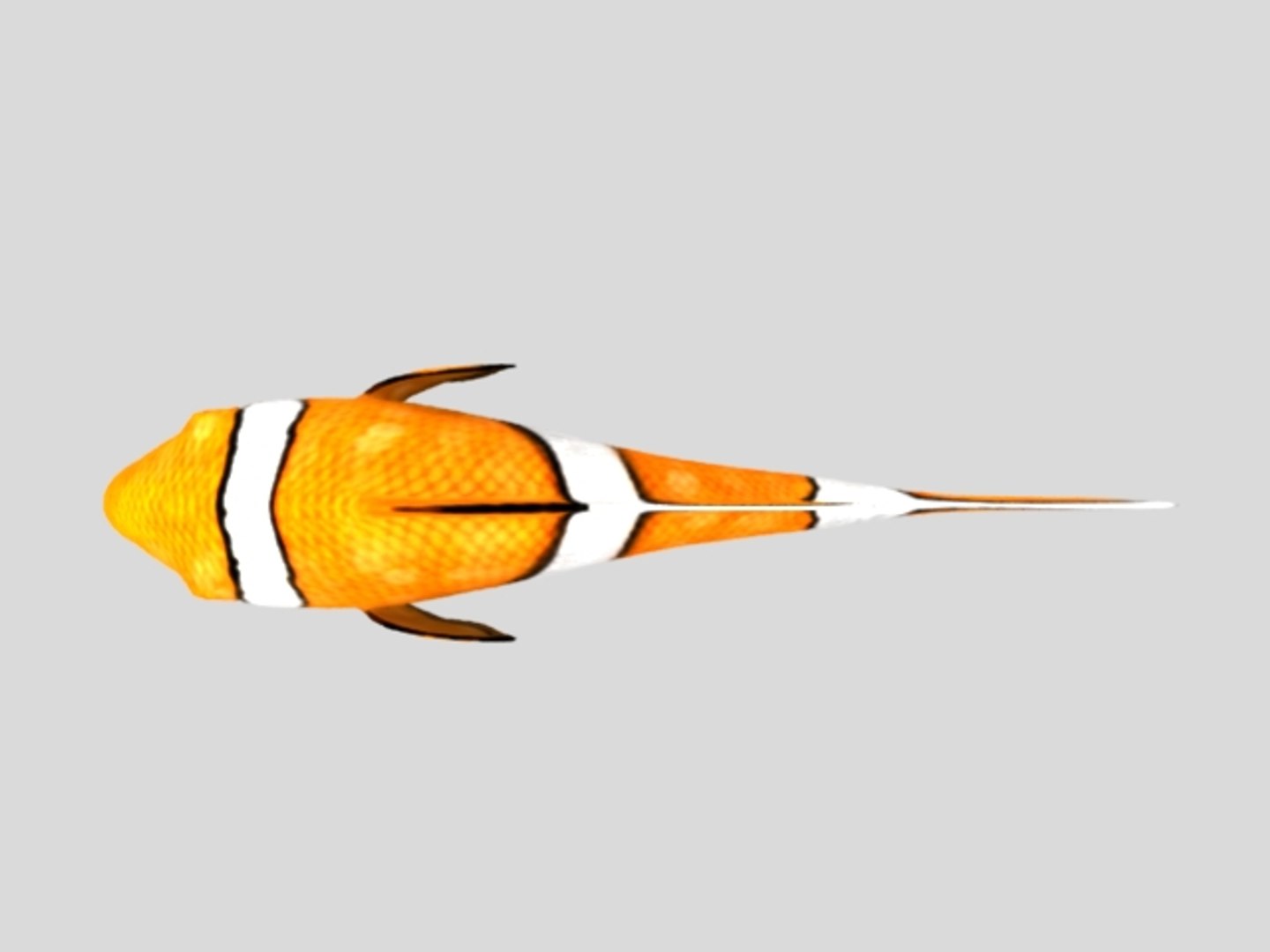 Animations Fish Model - TurboSquid 1318020