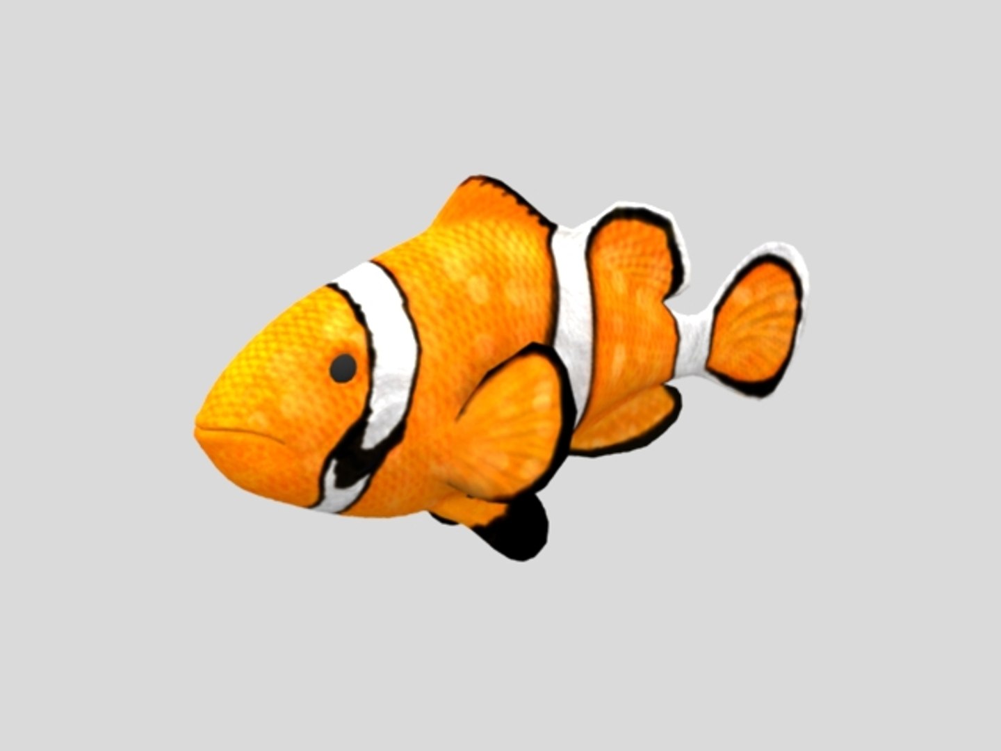 Animations Fish Model - TurboSquid 1318020
