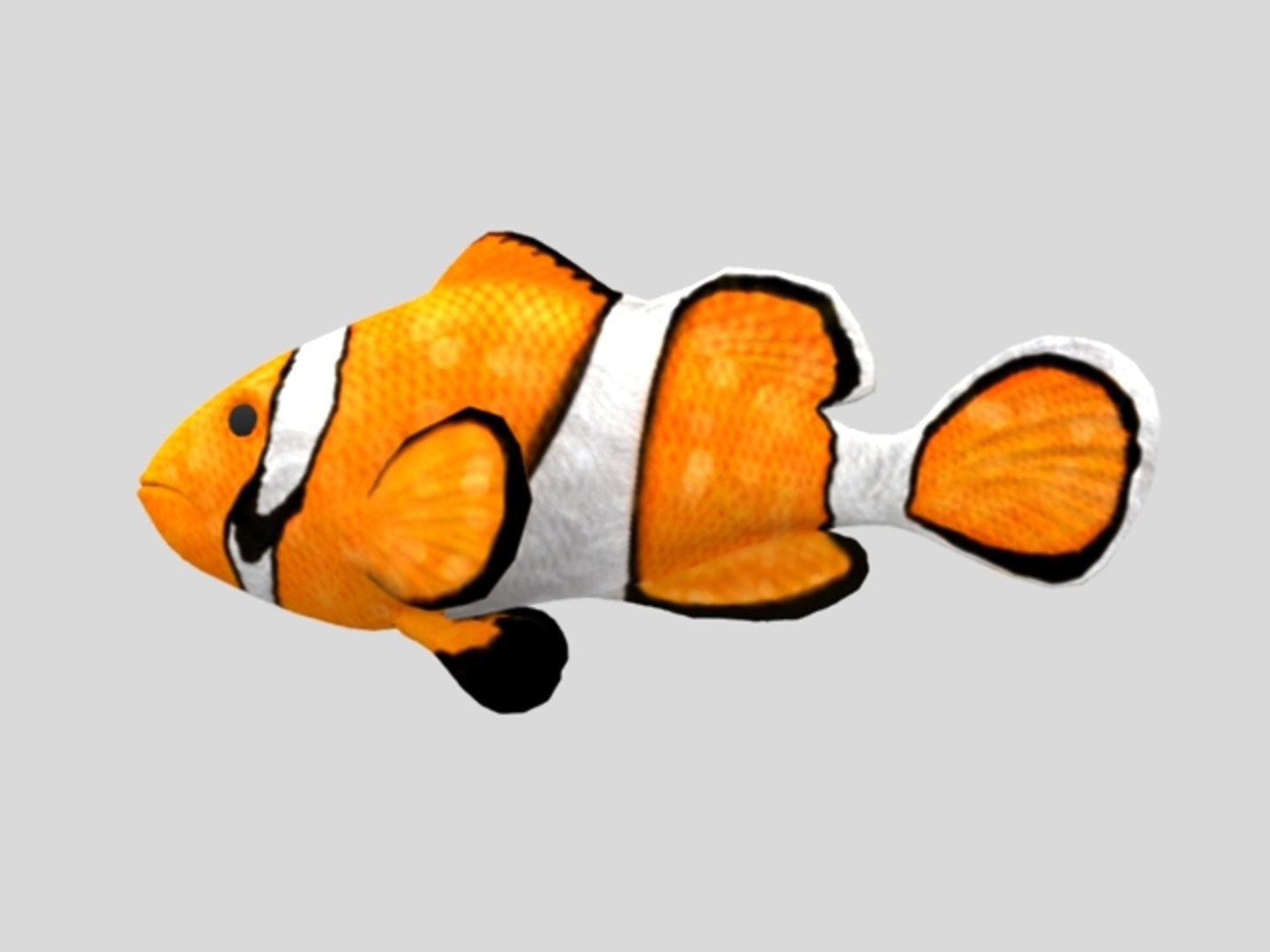 Animations Fish Model - TurboSquid 1318020