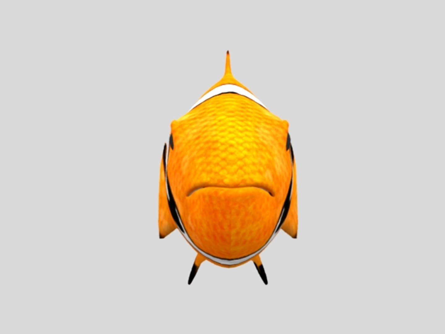 Animations Fish Model - TurboSquid 1318020