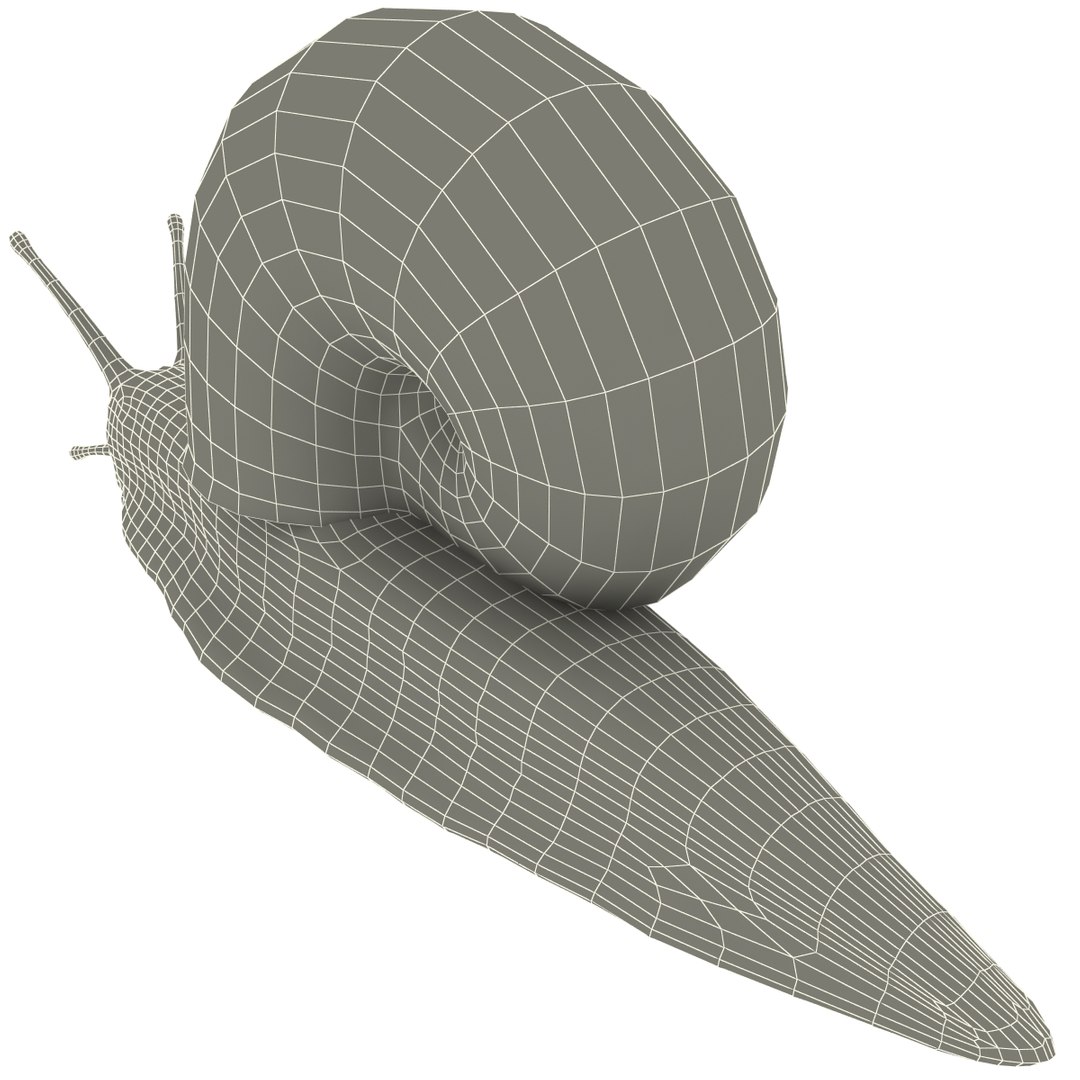 snail modelled 3d 3ds