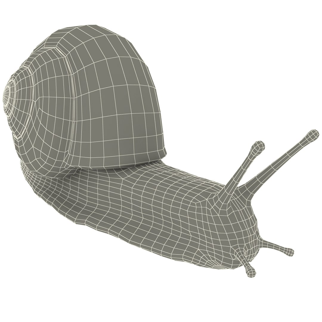 snail modelled 3d 3ds
