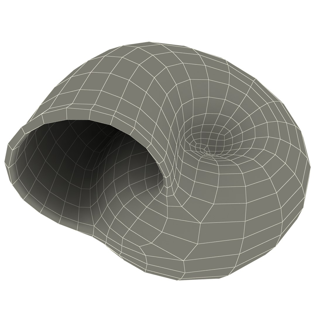 snail modelled 3d 3ds