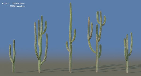 modelo 3d Cactus - TurboSquid 1144031