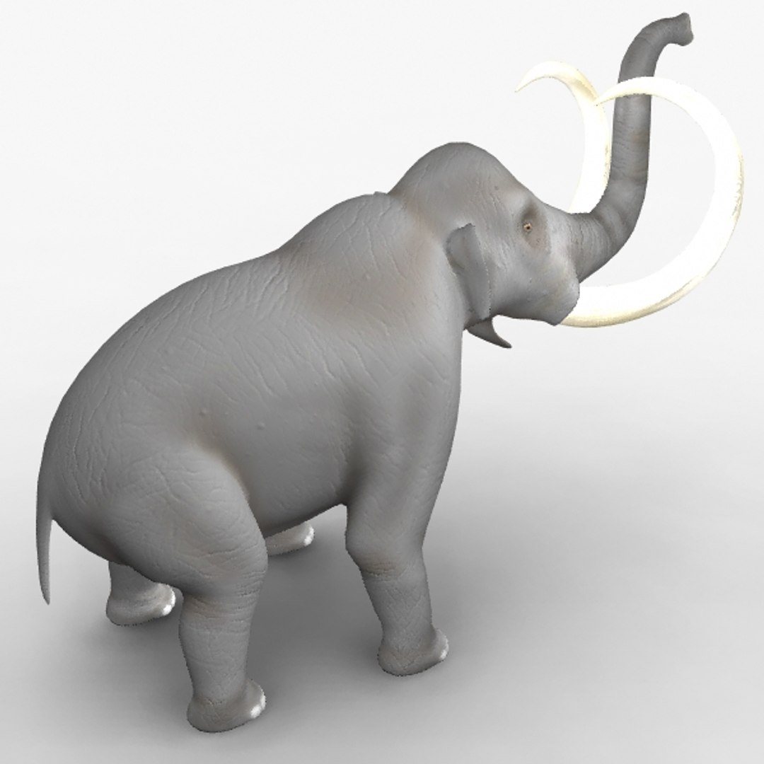 rigged animals 3d model