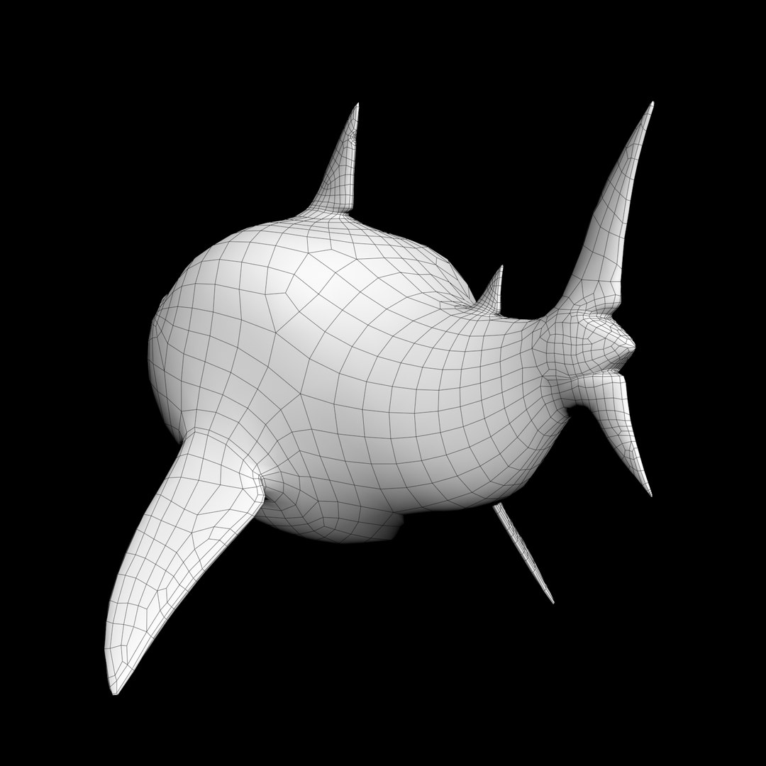 3d Ready Shark Model