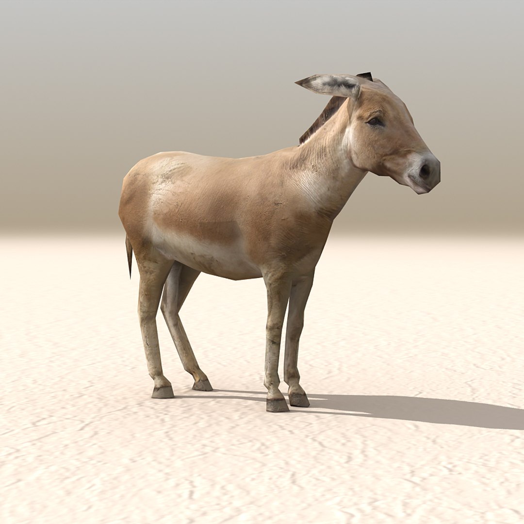 Donkey Arab Carts 3d C4d