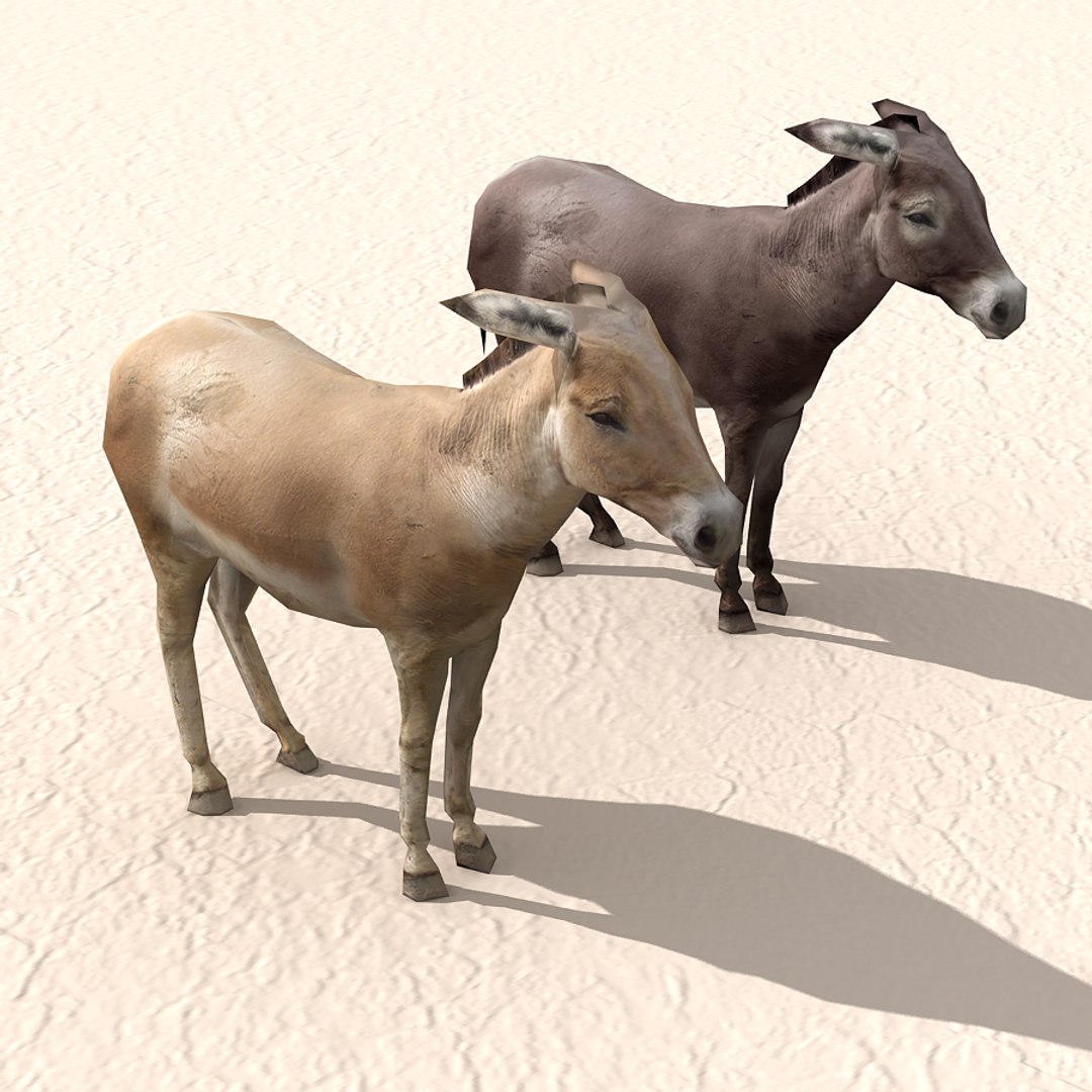 Donkey Arab Carts 3d C4d