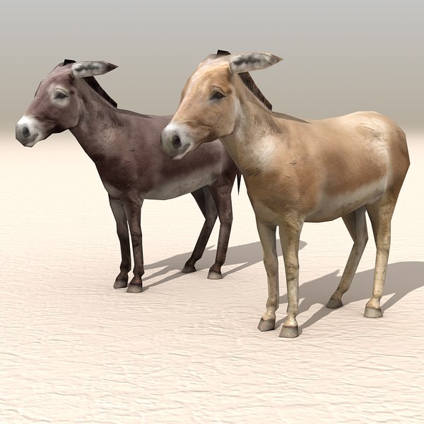 Donkey 3ds Max Models for Download | TurboSquid
