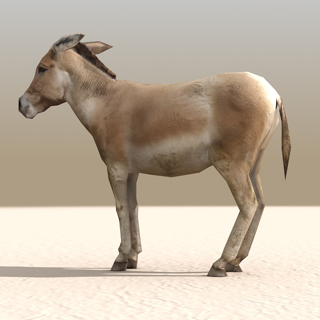 Donkey Arab Carts 3d C4d