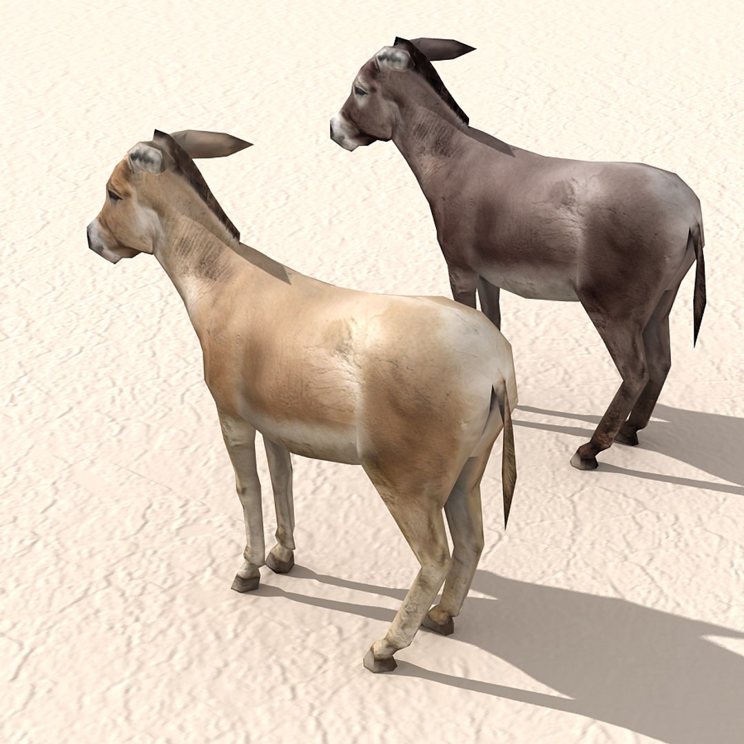 Donkey Arab Carts 3d C4d