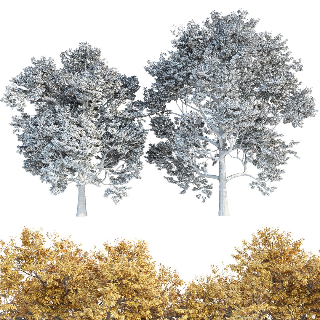 Autumn Maple Trees Collection vol 147 model - TurboSquid 1985411