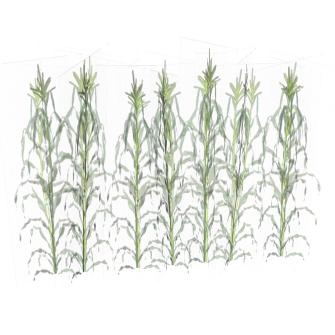 3d Model Historical Buildings Corn Farms