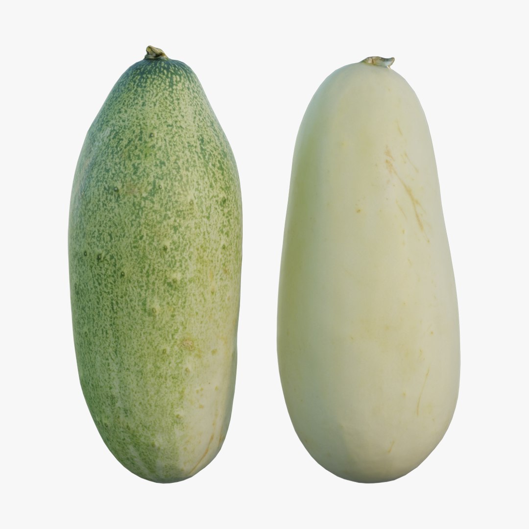 Melon 02 3D Model - TurboSquid 1917026