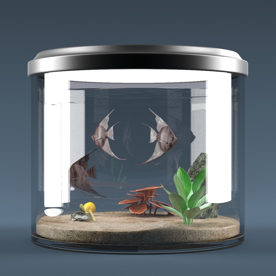 6 aquariums equipped 3d model