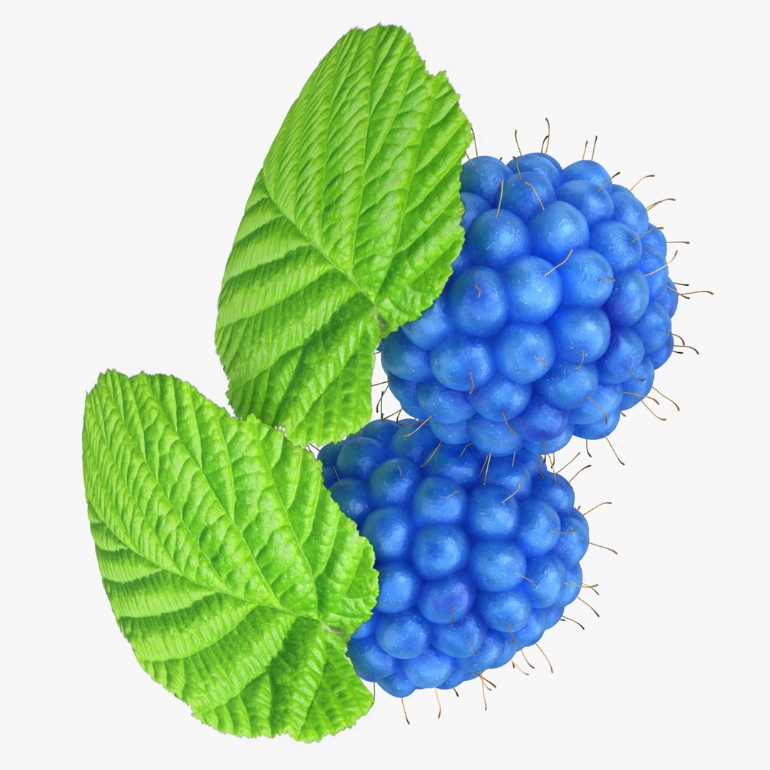 Realistic Raspberry Blue 3d 3ds