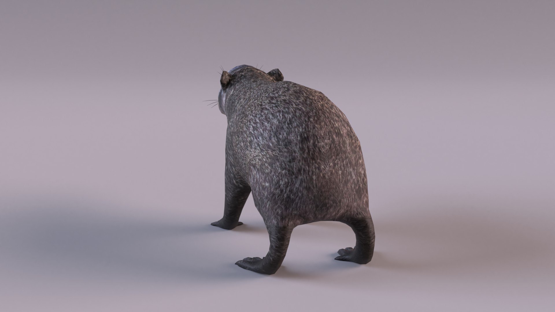 Rock Hyrax 3D Model - TurboSquid 1739944