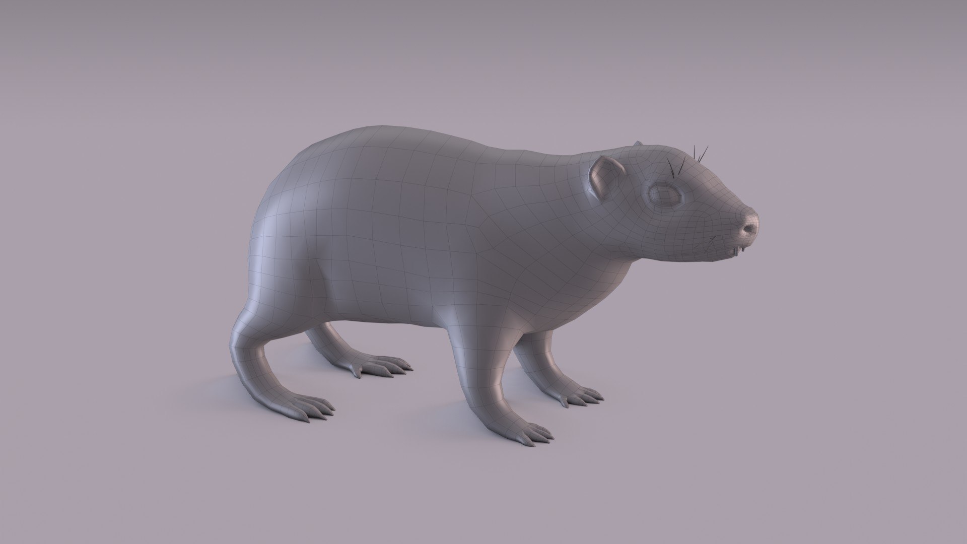 Rock Hyrax 3D Model - TurboSquid 1739944