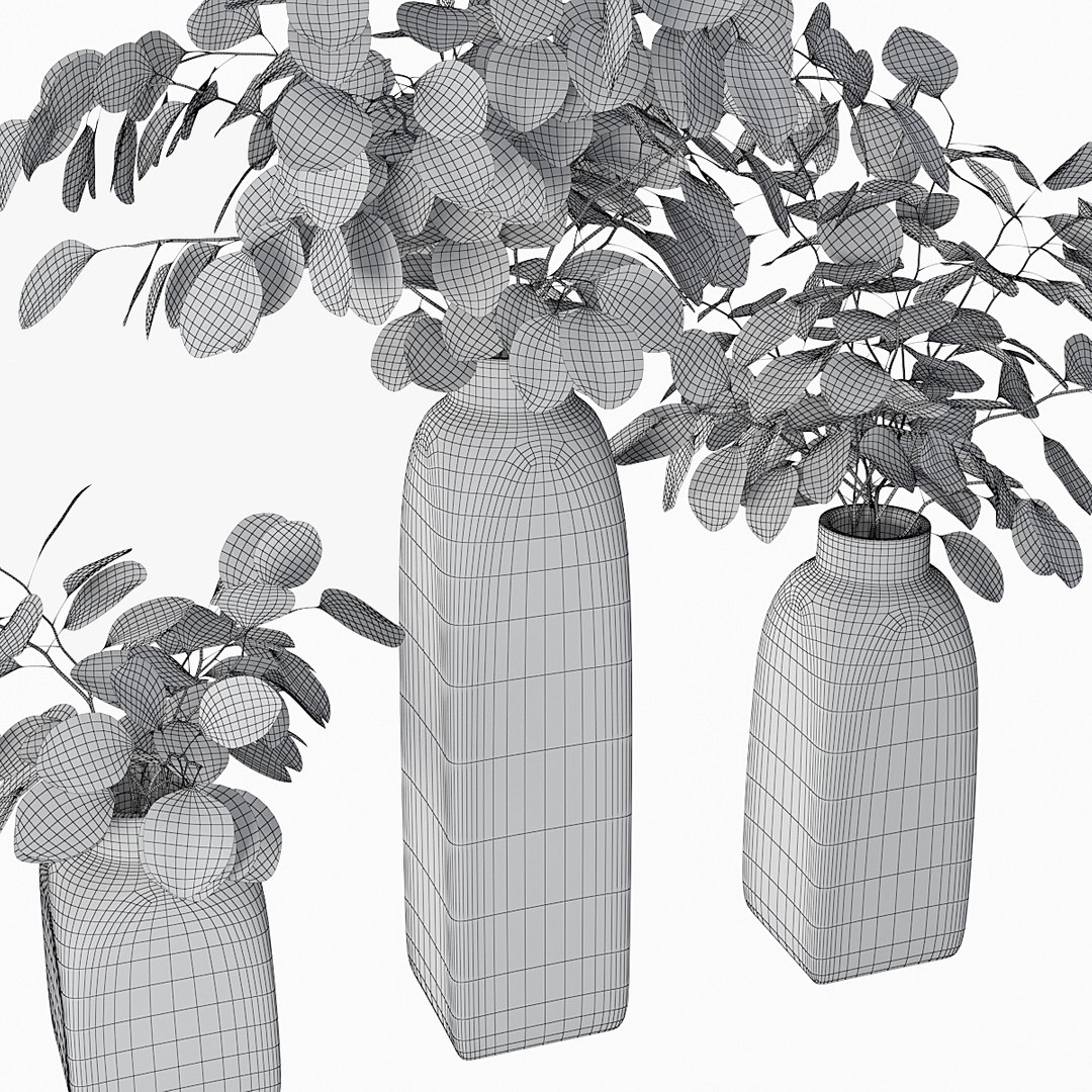 3D Model Eucalyptus Silver Dollar - TurboSquid 1523953