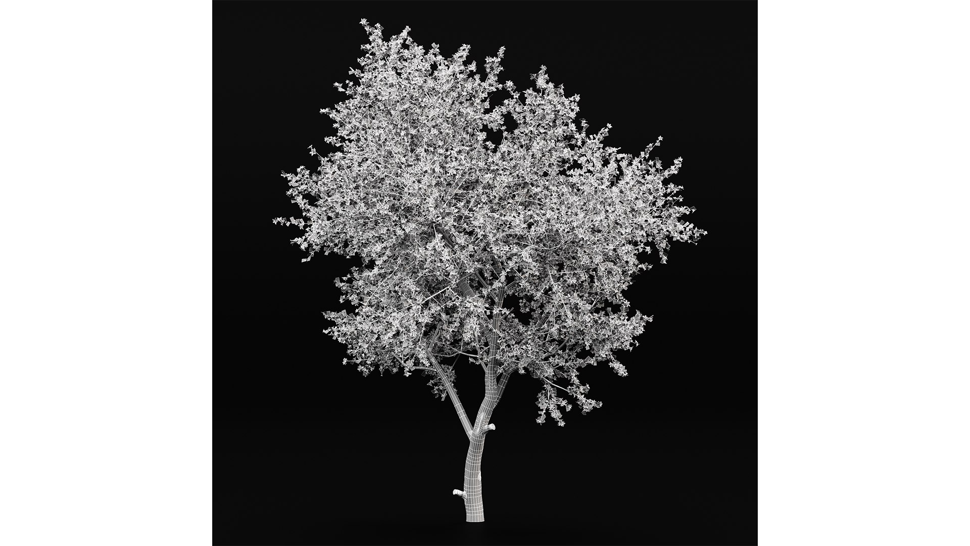 3D Blooming Lemon Tree - TurboSquid 2244606