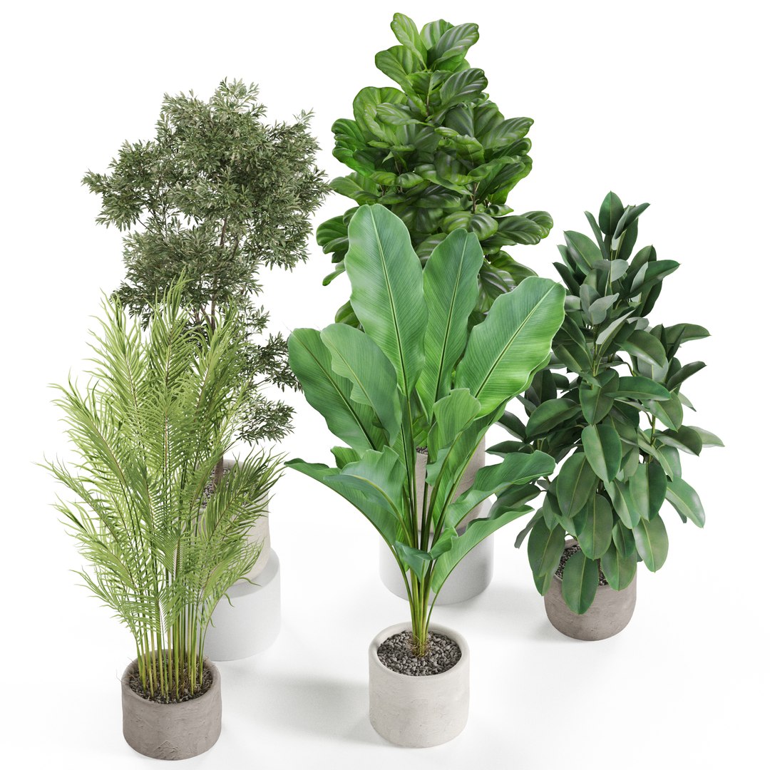 3D Plants Collection 951 - TurboSquid 2101372