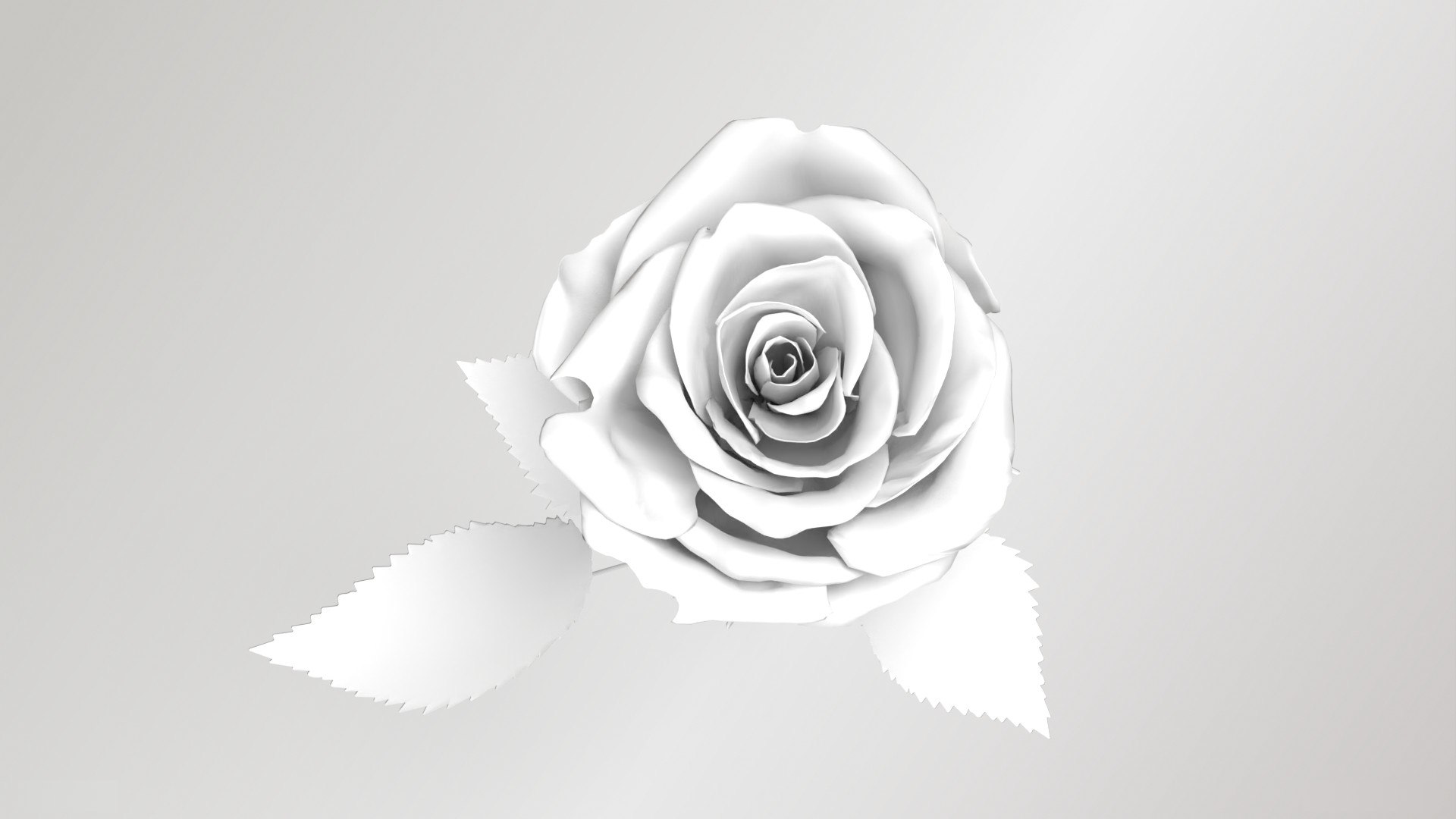 Single White Rose Model - TurboSquid 2276747