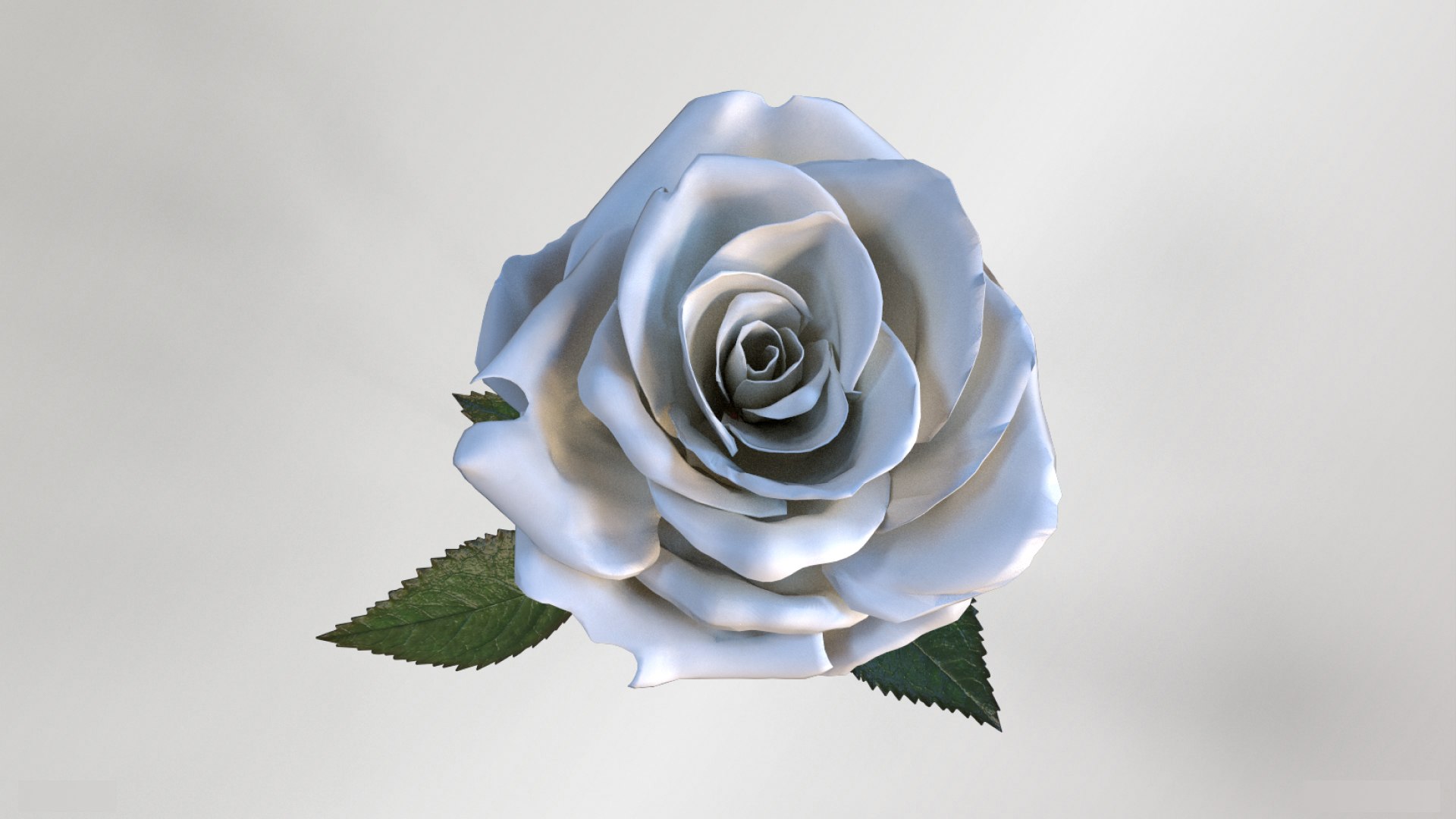 Single White Rose Model - TurboSquid 2276747