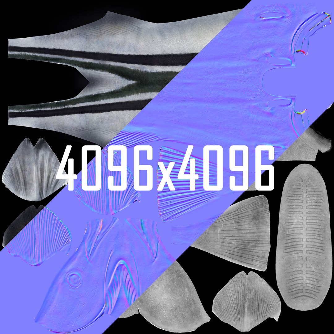 Remora Fish Low-poly 3D Model 3D Model - TurboSquid 1981817