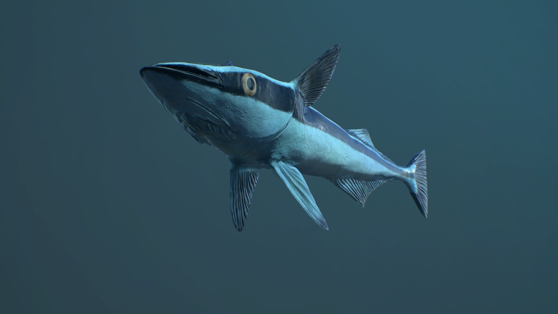 Remora Fish Low-poly 3D Model 3D Model - TurboSquid 1981817