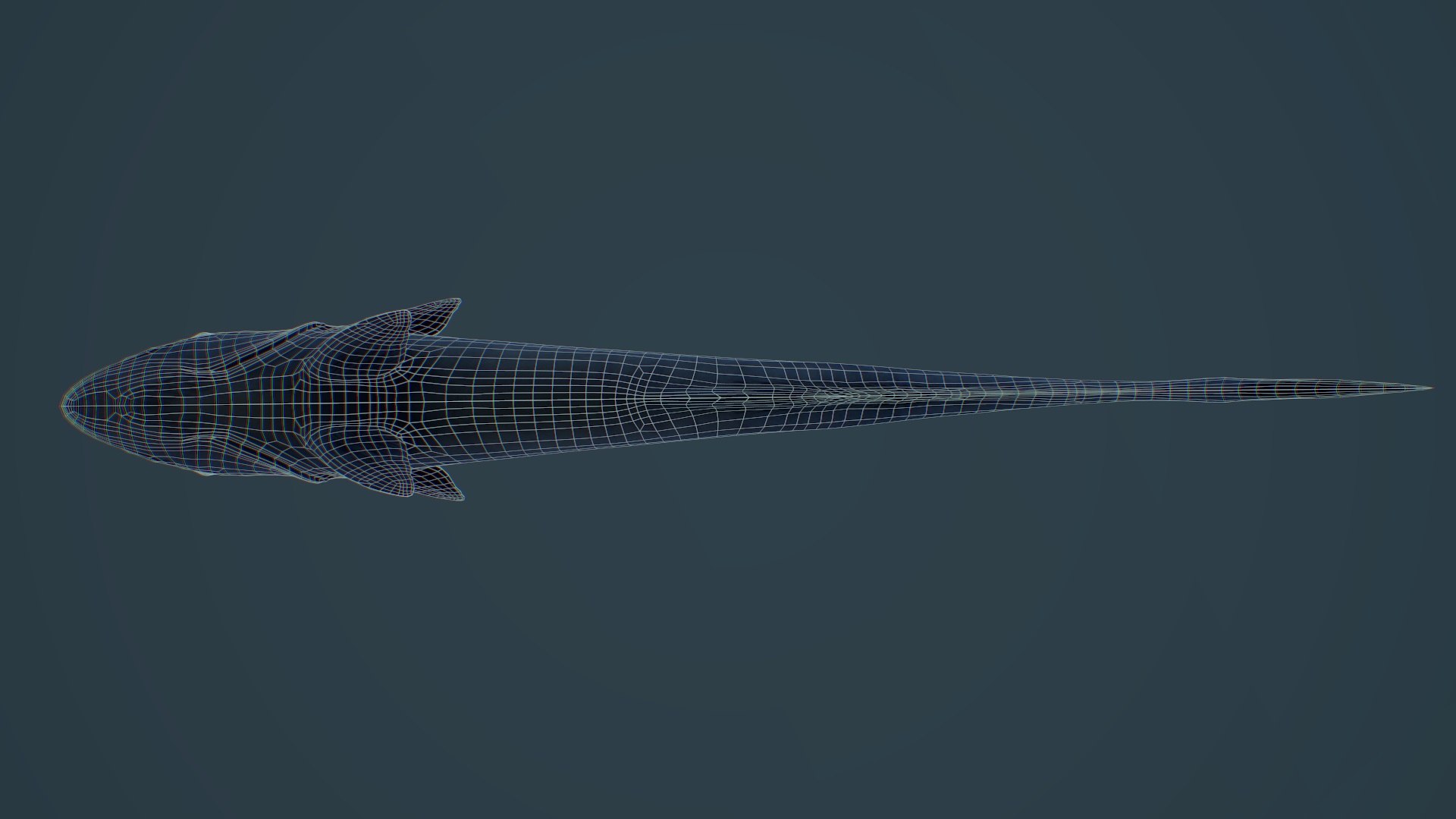 Remora Fish Low-poly 3D Model 3D Model - TurboSquid 1981817