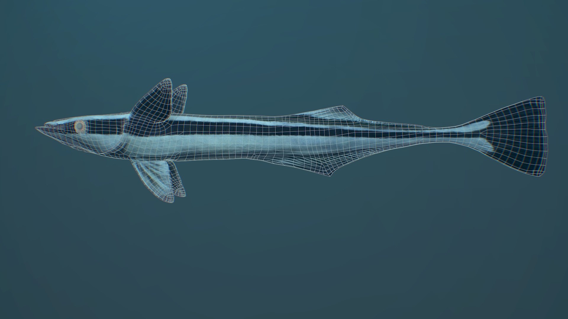 Remora Fish Low-poly 3D Model 3D Model - TurboSquid 1981817