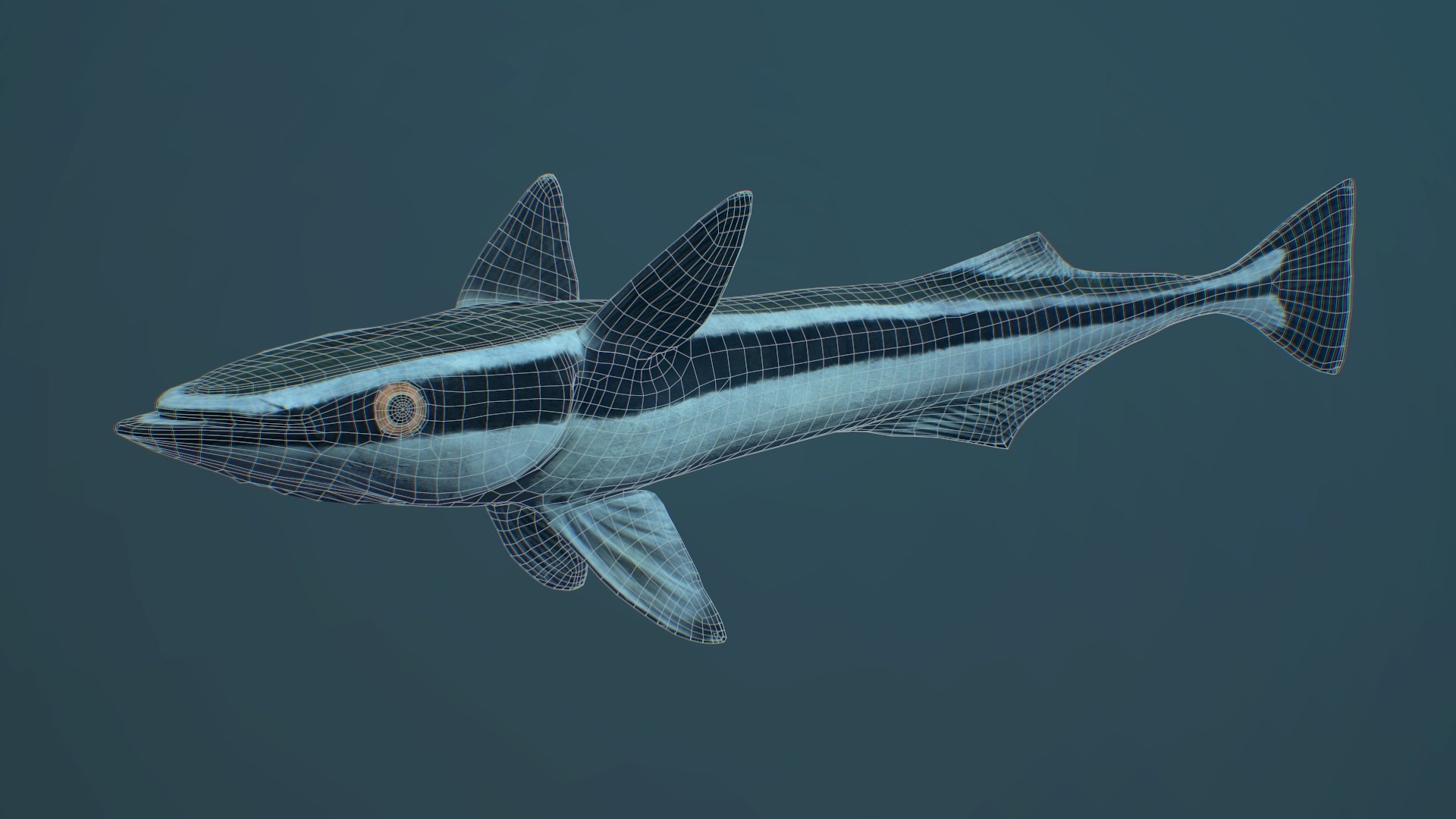 Remora Fish Low-poly 3D Model 3D Model - TurboSquid 1981817