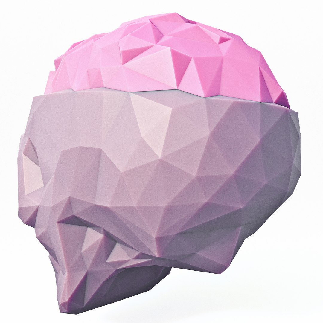 Skull brain 3D model - TurboSquid 1365788