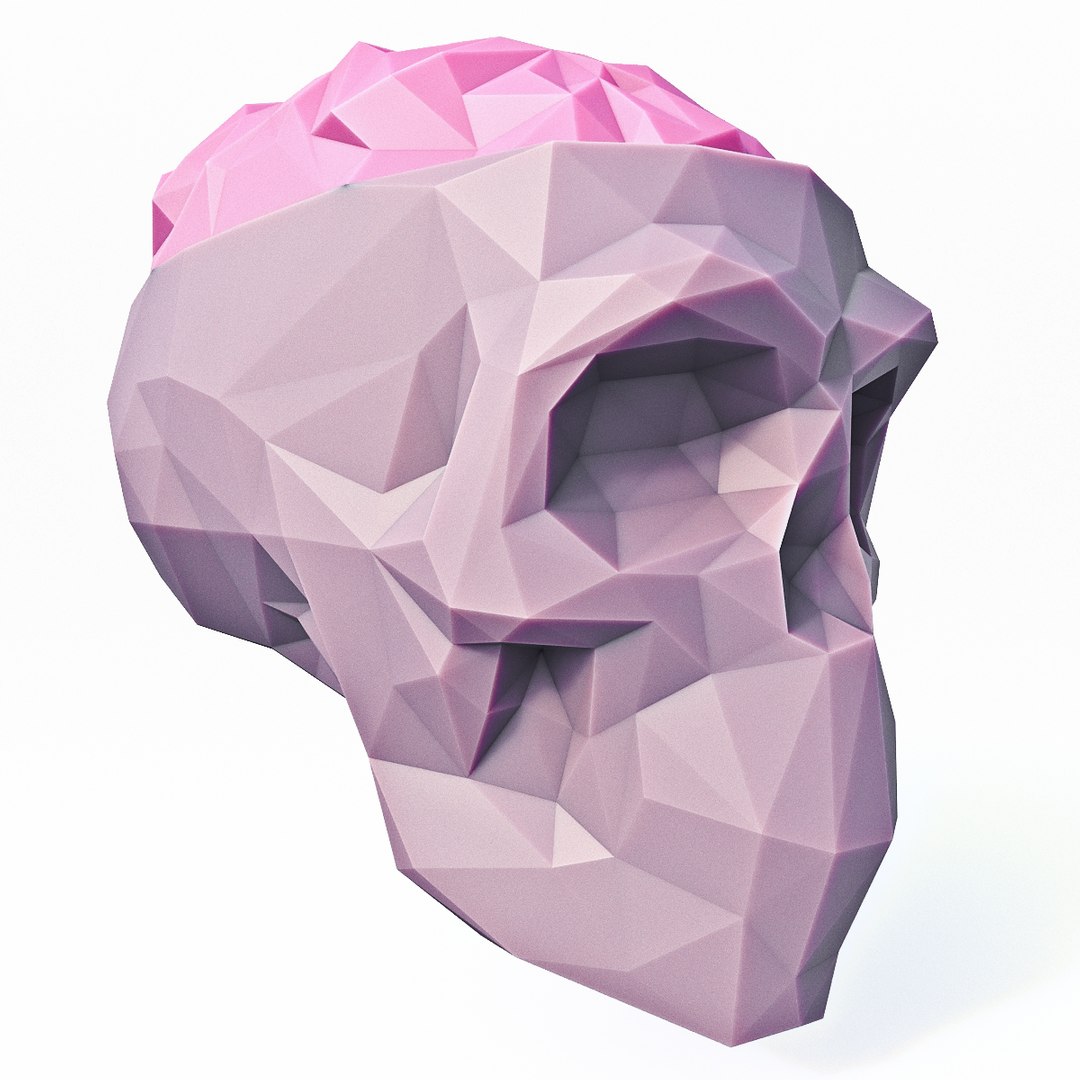 Skull brain 3D model - TurboSquid 1365788