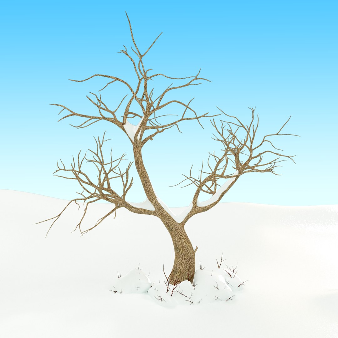 3d Snow Tree