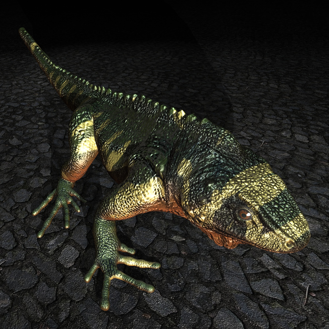 3d model leguan zbrush 3