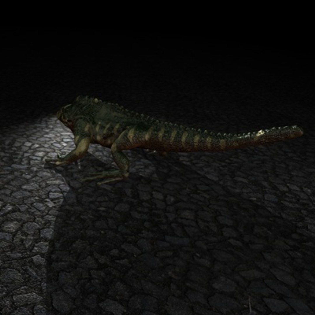 3d model leguan zbrush 3