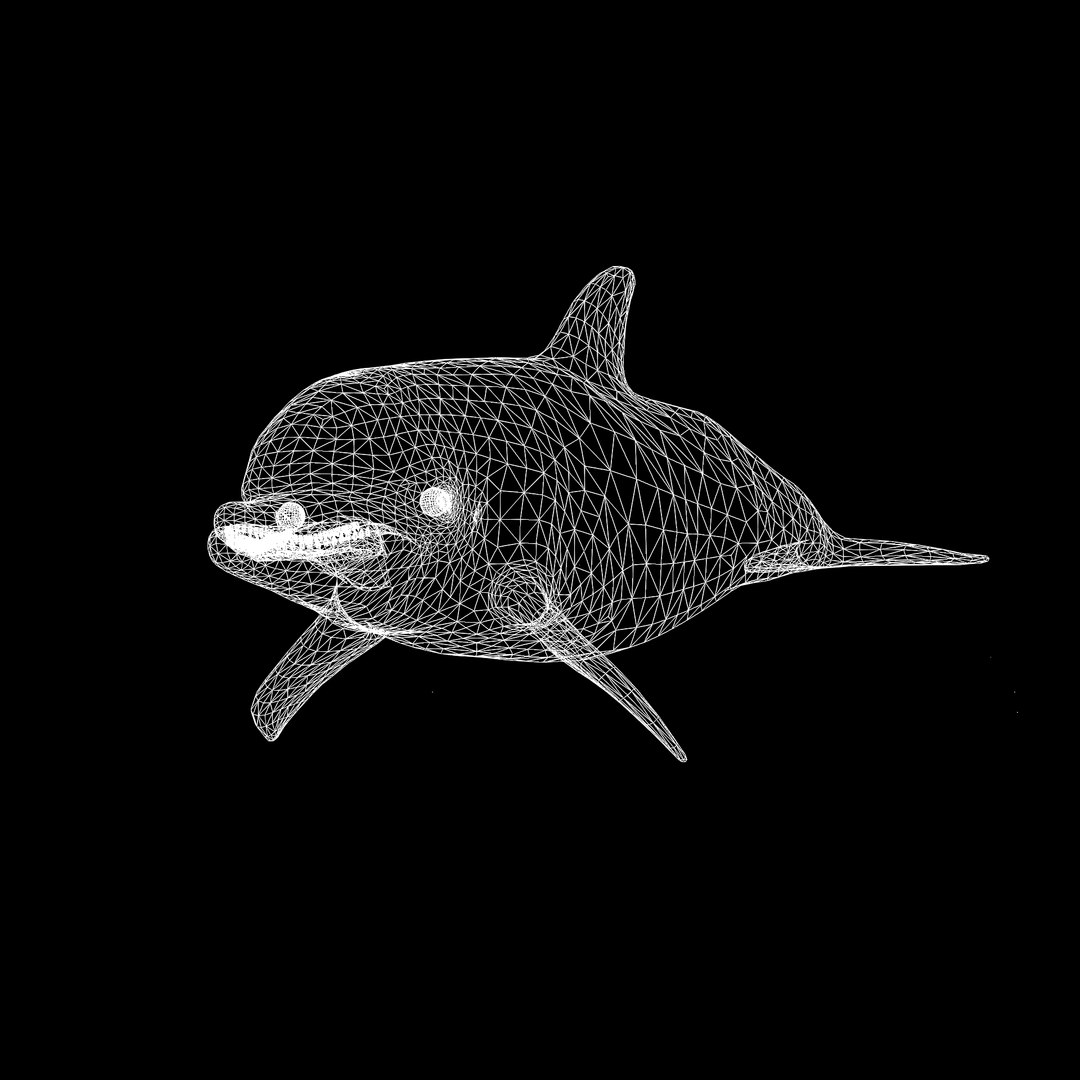 3D DOLPHIN RIGGED ANIMATED FISH - TurboSquid 2381444
